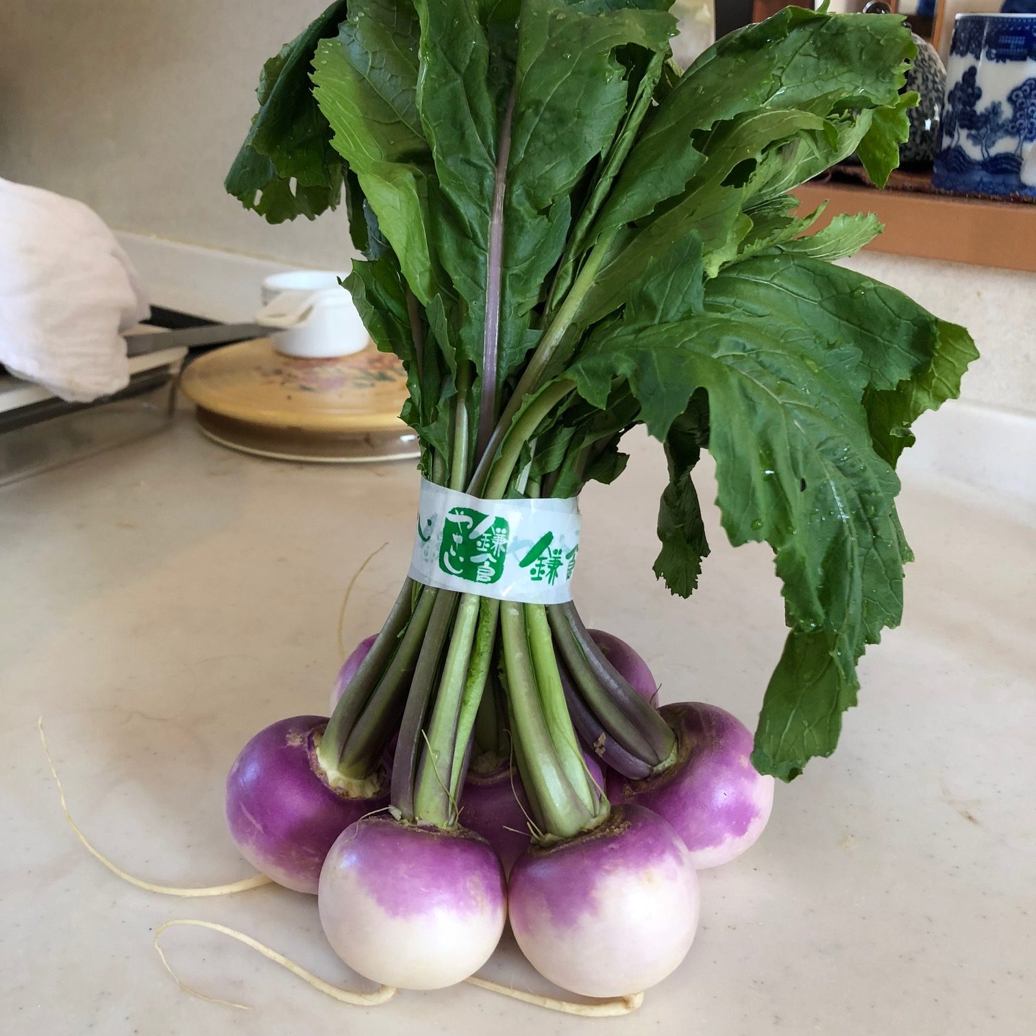 Turnip dance - KEEP ON SMILING